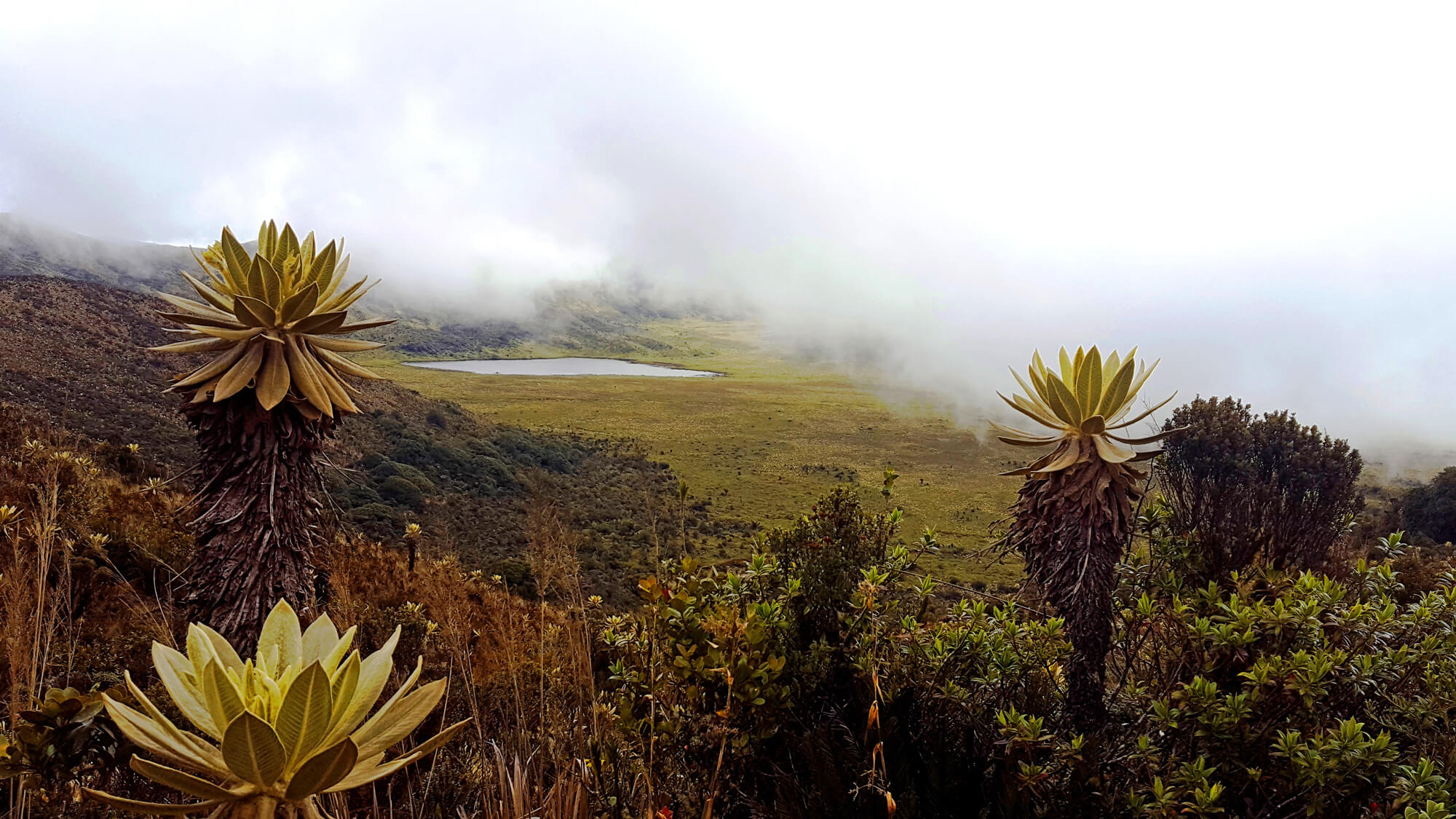 La laguna donde nace el Río Magdalena