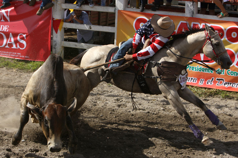Coleo en acacias Meta